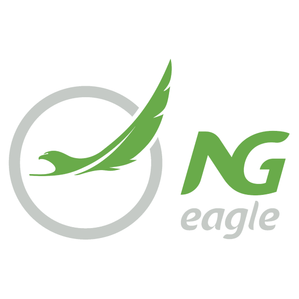 NG Eagle Airline | Reliable & Affordable Flights in and out of Nigeria ...